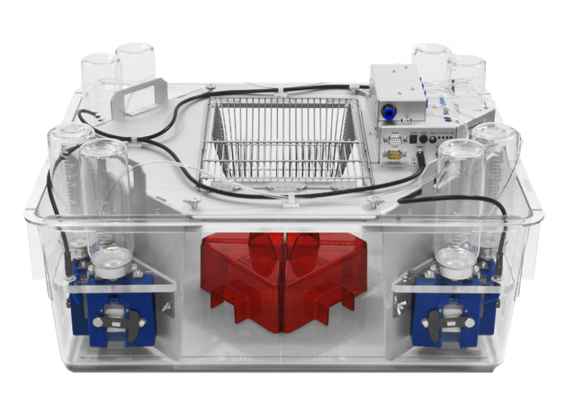 IntelliCage: The Future of Cognitive Performance Assessment - TSE Systems
