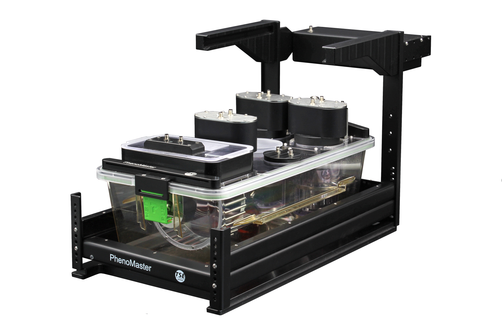 Phenomaster: A Breakthrough in Monitoring Animal Parameters - TSE Systems