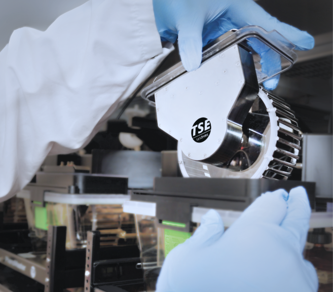 TSE - preclinical in-vivo research